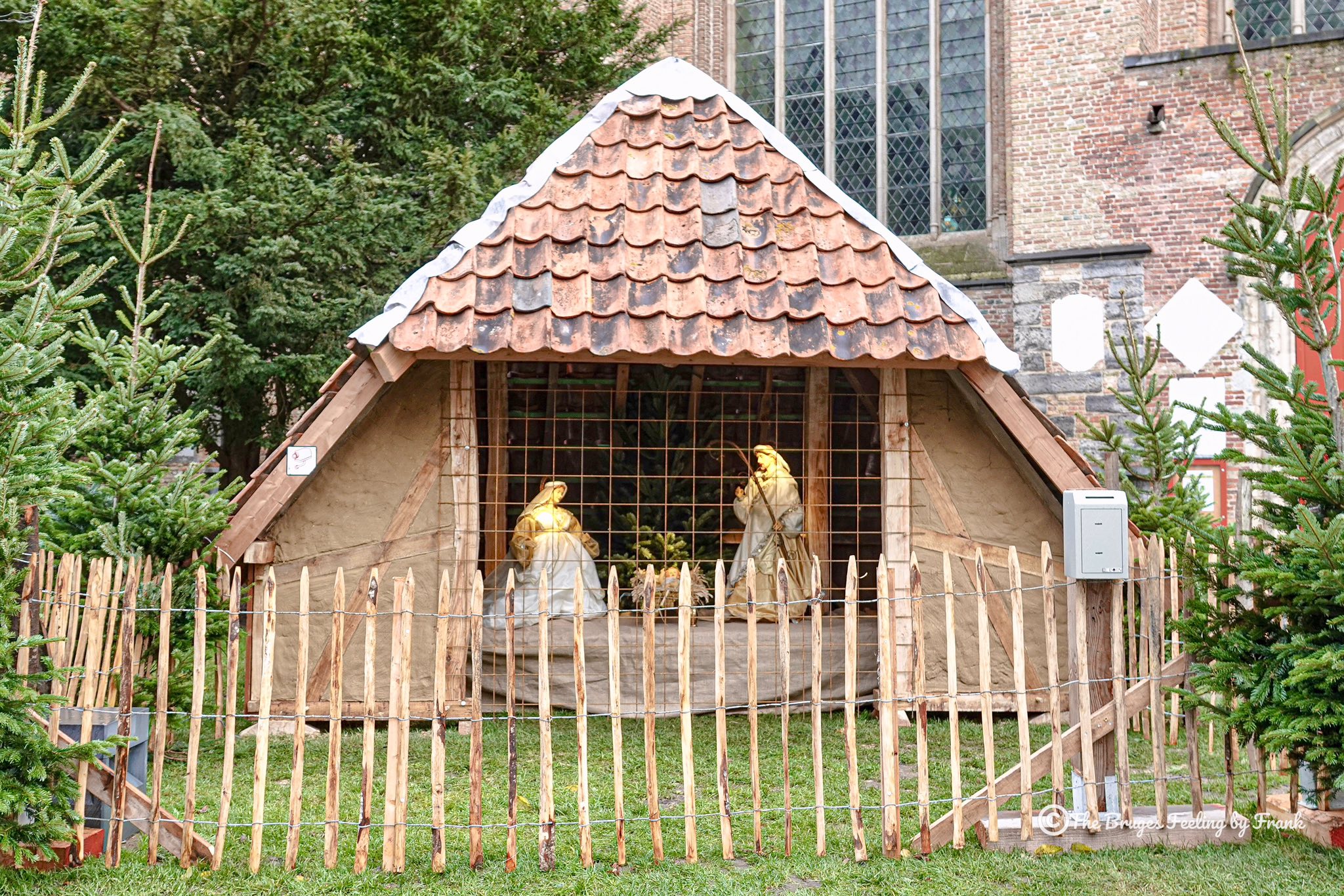 Kerststal is klaar aan Sint-Salvatorskathedraal in Brugge | Het Nieuws ...